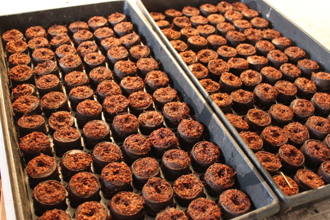 Here are some tips to help you get started.